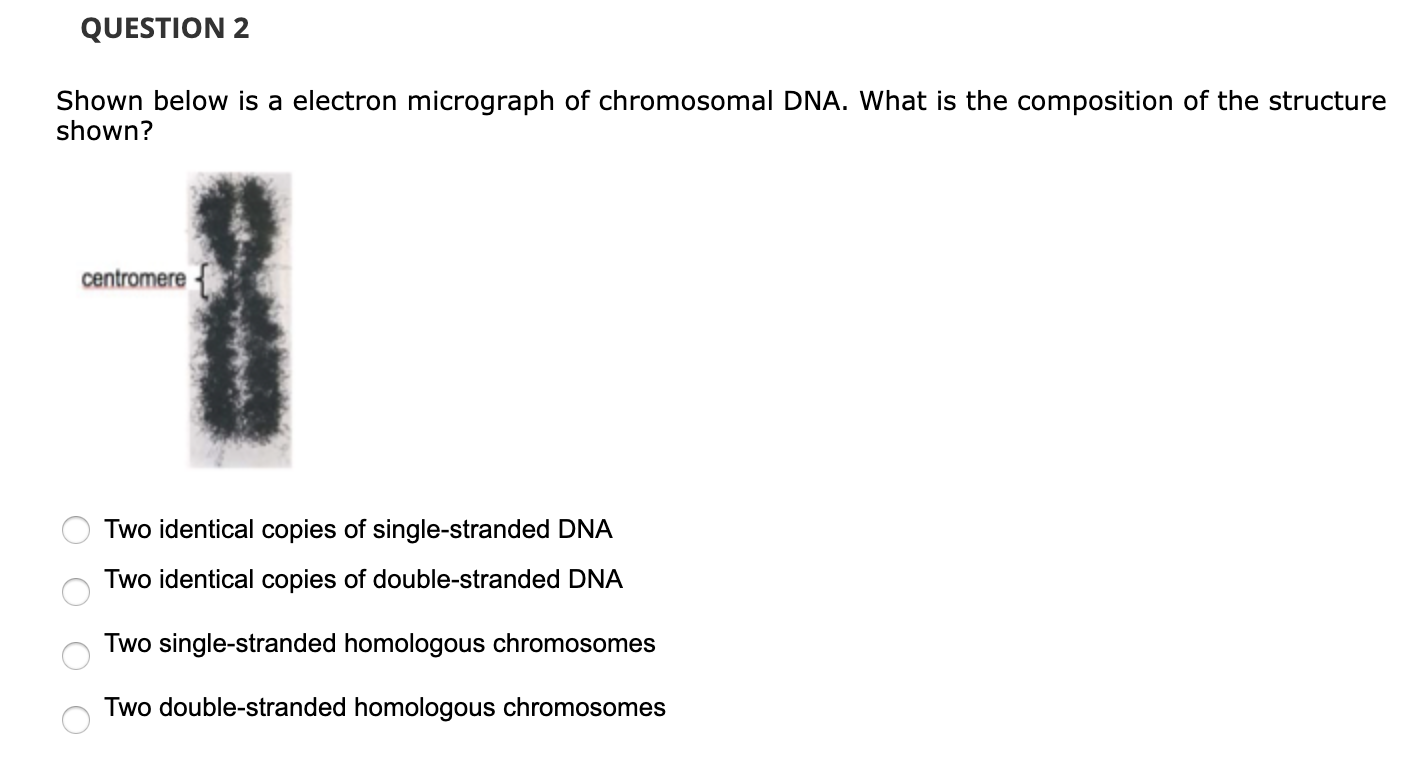 Solved QUESTION 1 Shown below is a diagram of a eukaryotic | Chegg.com