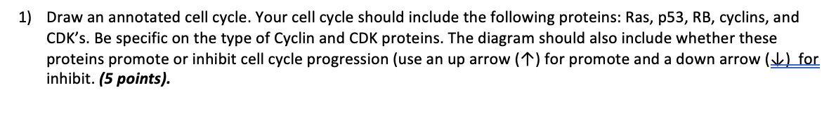 Solved 1) Draw an annotated cell cycle. Your cell cycle | Chegg.com
