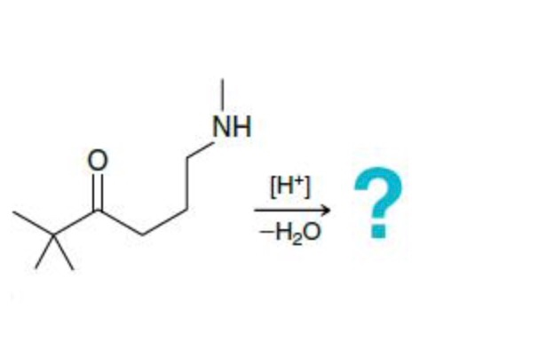 Solved HO-NH2 -H20 [H*1 H2N-NH2 -H20 N-H 2 H20 2 H2O | Chegg.com