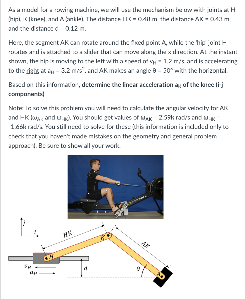 As a model for a rowing machine, we will use the | Chegg.com