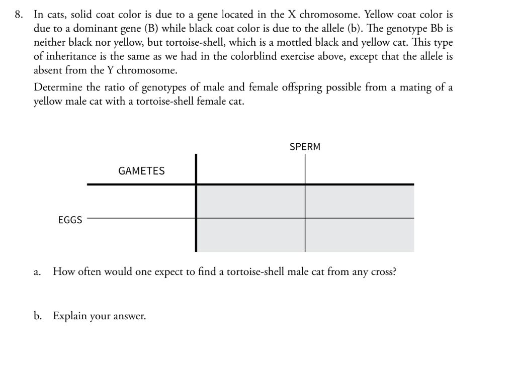 Solved 8. In cats, solid coat color is due to a gene located | Chegg.com