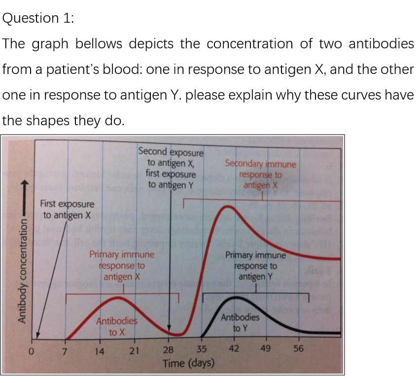Solved Question 1: The graph bellows depicts the | Chegg.com