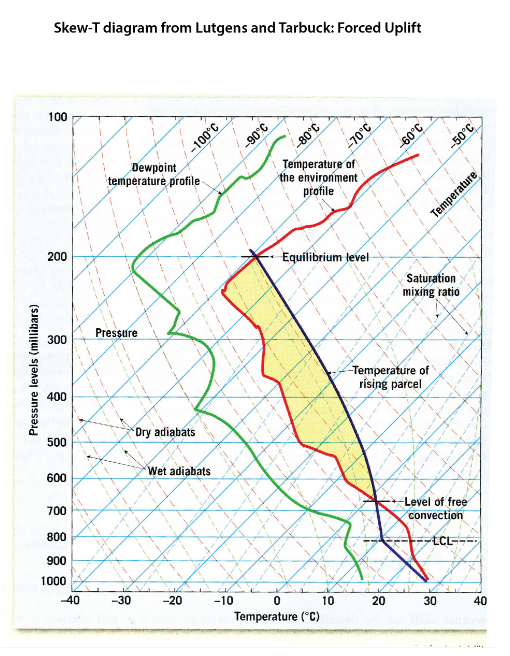 Using the electronic image | Chegg.com