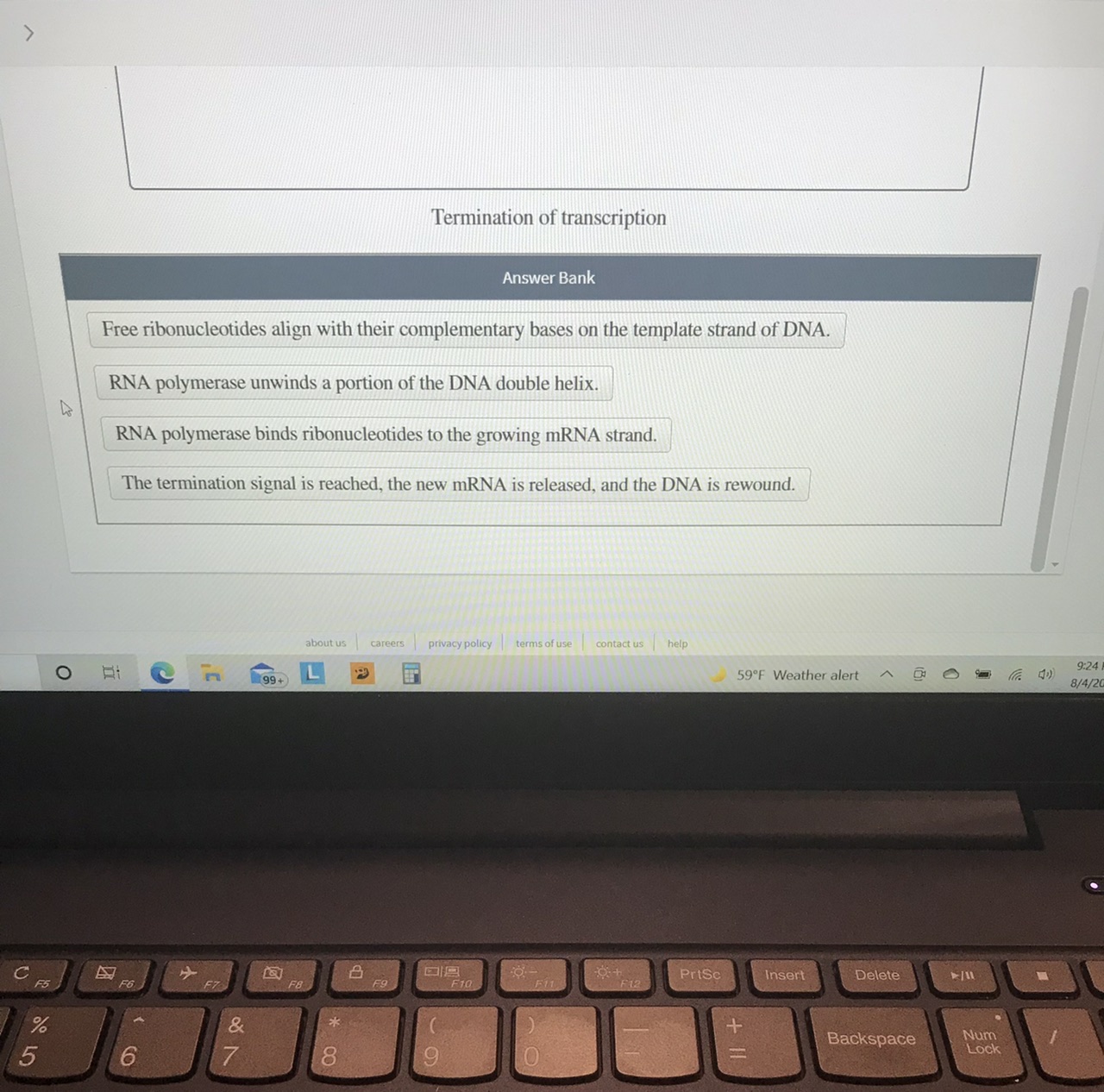 Solved Order the steps of transcription. Initiation of | Chegg.com