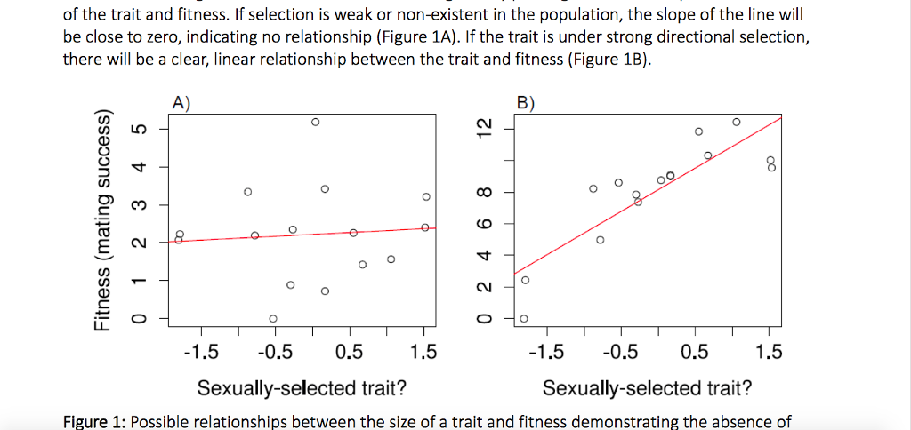 Male crayfish-Ventral dissection Female crayish | Chegg.com