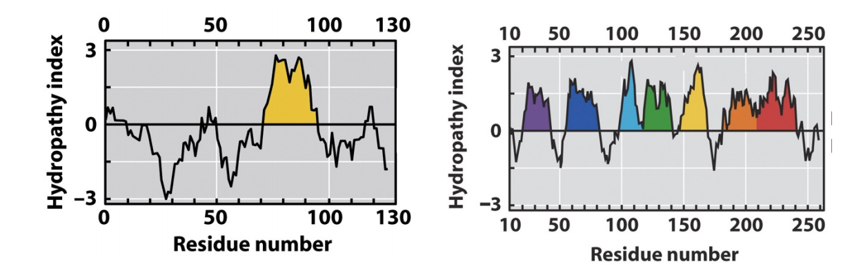 Solved 50 100 130 10 50 100 150 200 250 Hydropathy index | Chegg.com