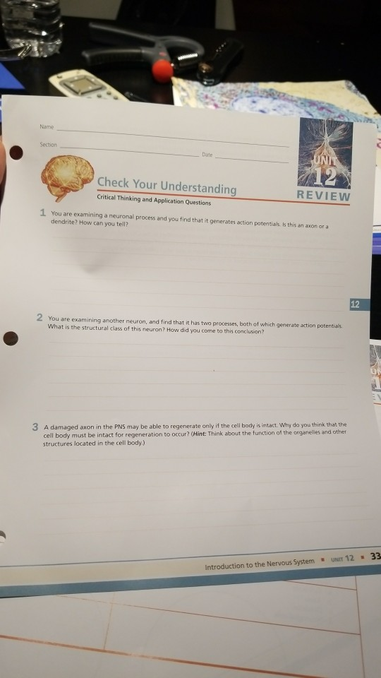 Solved Name Section Date Check Your Understanding Critical | Chegg.com