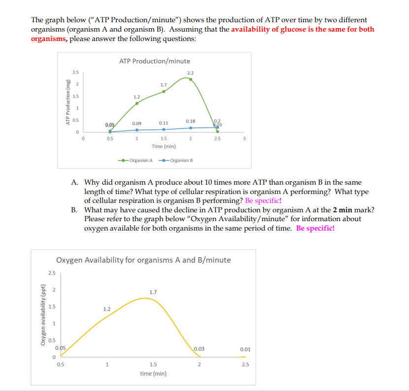 Solved The graph below ("ATP Production/minute") ﻿shows the | Chegg.com