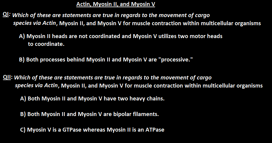 Solved Actin, Myosin II, and Myosin V Ql: Which of these are | Chegg.com