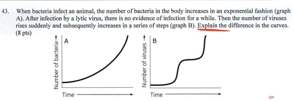 Solved 43. When bacteria infect an animal, the number of | Chegg.com