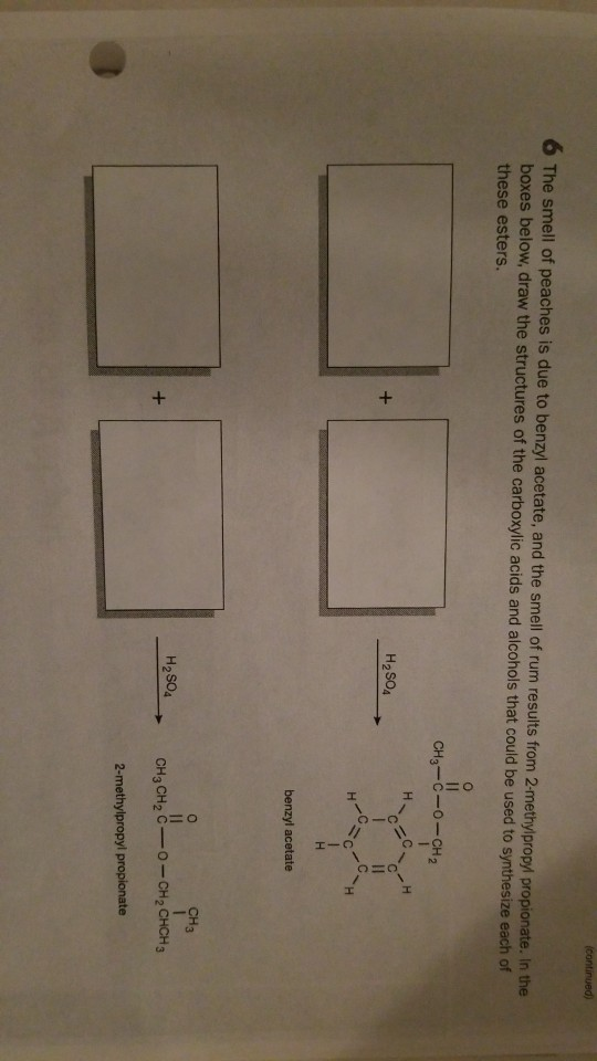 Solved 0.5 An PRELABORATORY EXERCISE Name Lab Partner Lab | Chegg.com