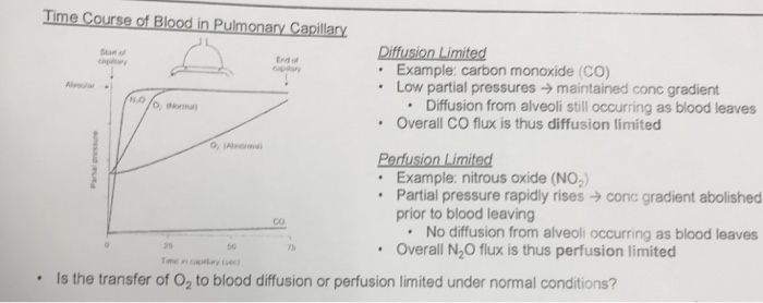 Solved Time Course of Blood in Pulmonary Capillary Erd o | Chegg.com
