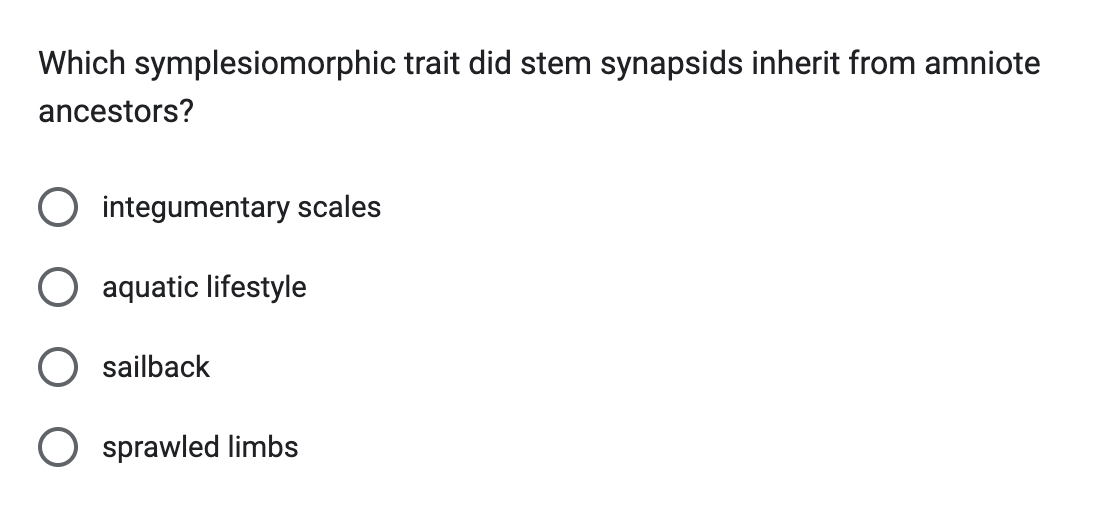 Solved Which symplesiomorphic trait did stem synapsids | Chegg.com