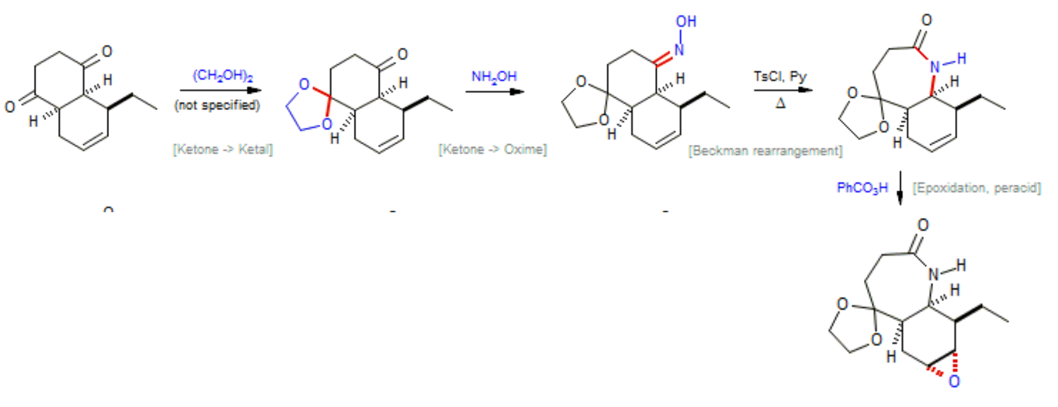 Solved OH 0 H am N-H NH OH TsCI, Py H (CH2OH)2 (not | Chegg.com