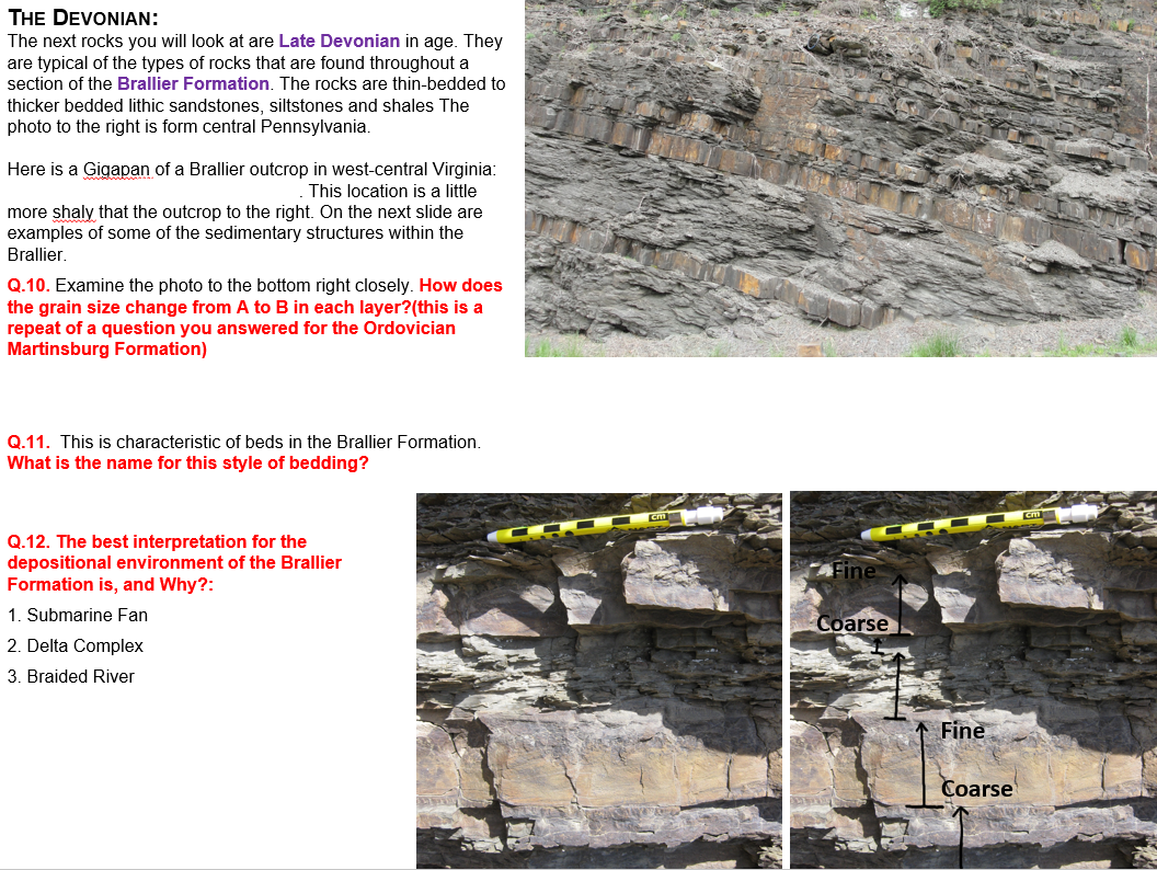 Solved THE DEVONIAN: The next rocks you will look at are | Chegg.com