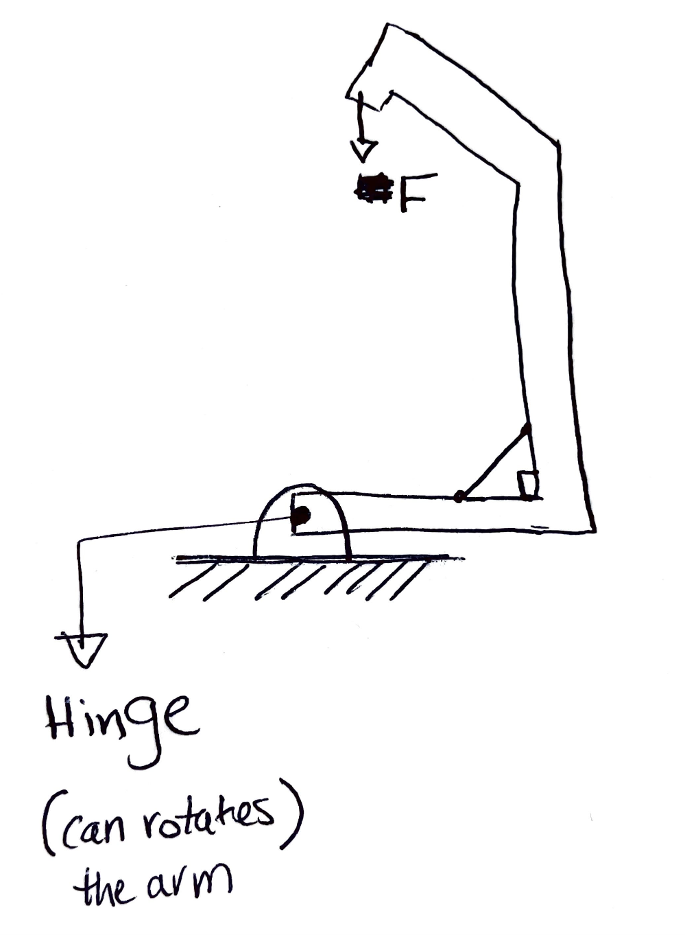 Solved Sketch the free body diagram and show all the forces | Chegg.com