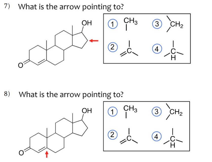 Solved 7) What is the arrow pointing to? (1) (3) /CH2 (2) | Chegg.com