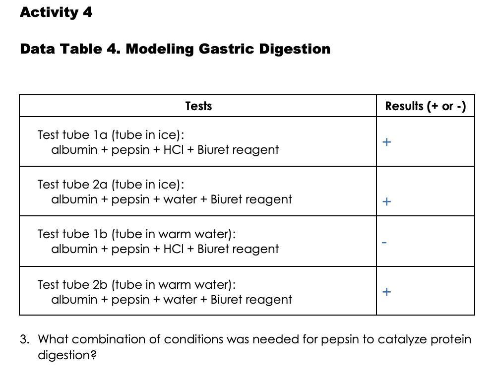 Solved Data Table 4 Modeling Gastric Digestion 3 What