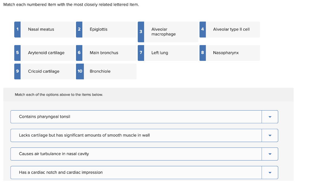 Solved Match each numbered item with the most closely | Chegg.com Solved Match each numbered item with the most closely | Chegg.com