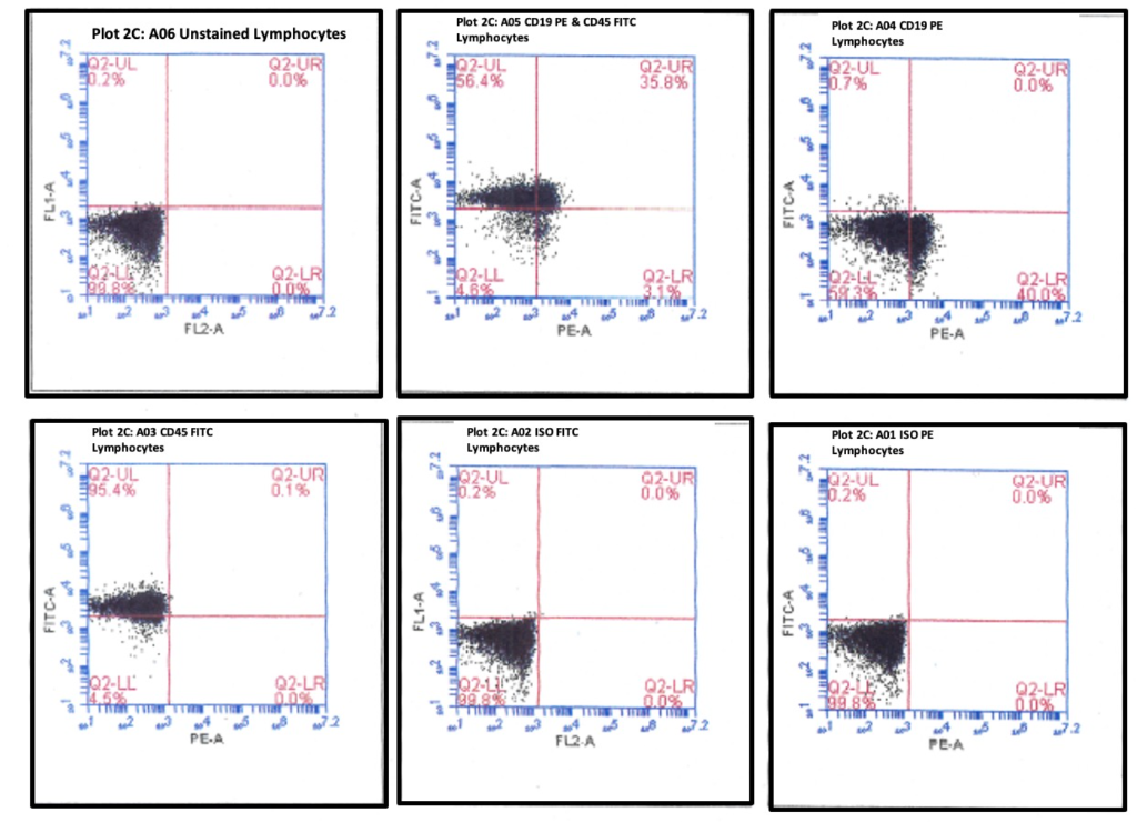 Solved Using the data in the quadrants below, determine | Chegg.com