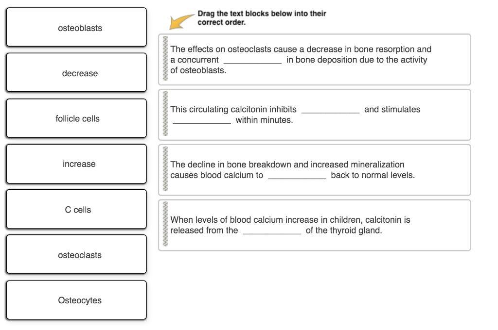 Solved Complete Each Sentence By Dragging The Proper Word Or