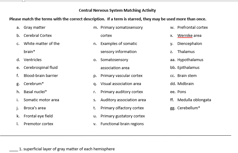 C. Central Nervous System Matching Activity Please | Chegg.com