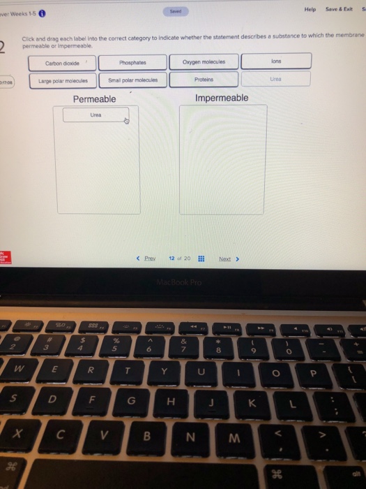 Solved Help Save &Exit S ver Weeks 1.5 Click and drag each | Chegg.com