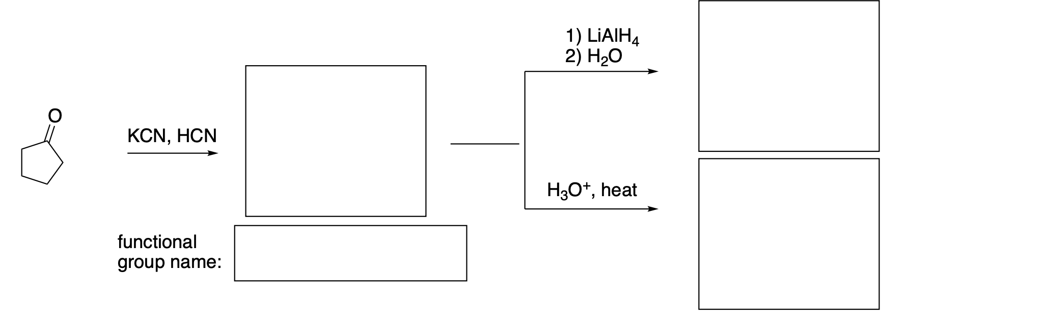 Solved 1) LiAIH4 2) H20 KCN, HCN H3O+, heat functional group | Chegg.com