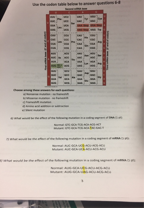Solved Use the codon table below to answer questions 6-8 | Chegg.com