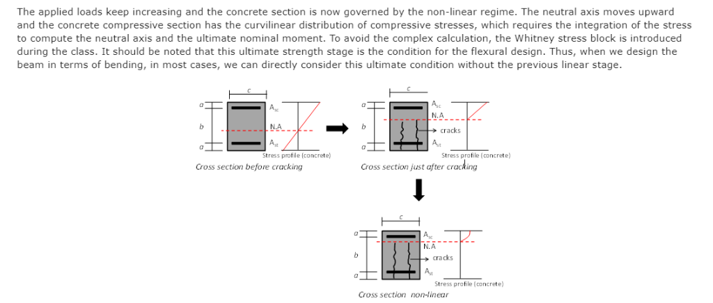 Solved The point loads are placed at the fixed positions | Chegg.com