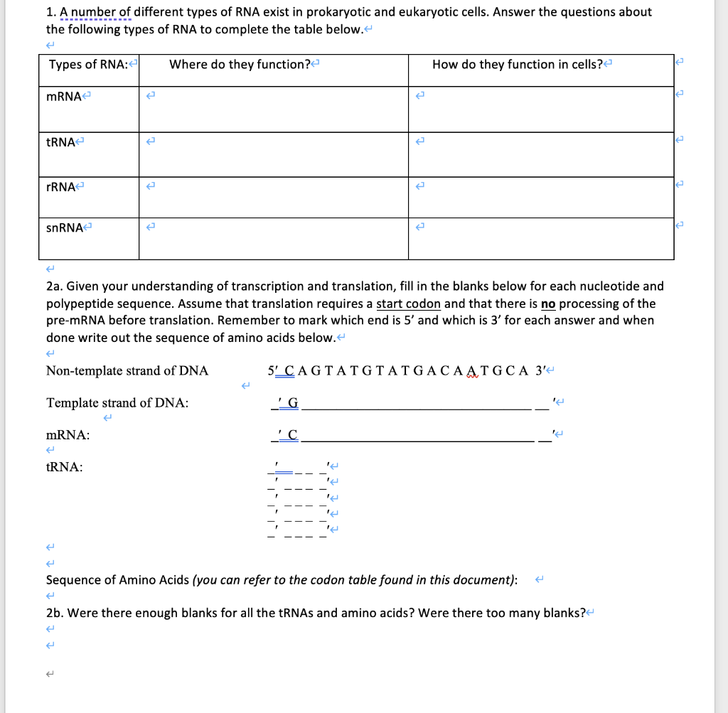Solved 1. A number of different types of RNA exist in | Chegg.com