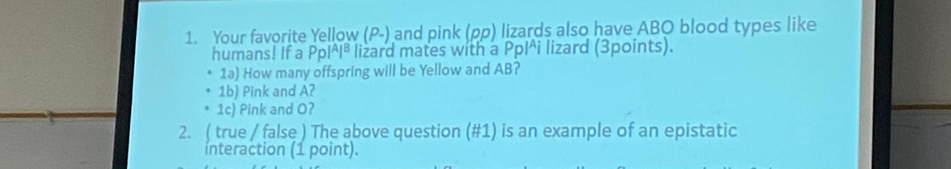 Solved 1. Your favorite Yellow (P-) and pink (pp) lizards | Chegg.com