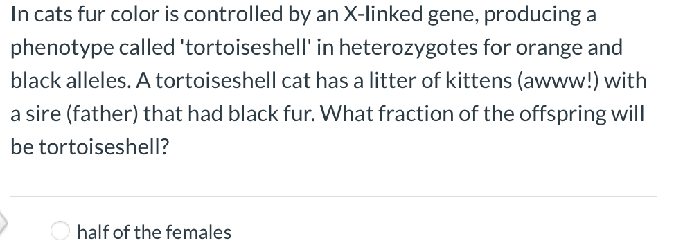 Solved In cats fur color is controlled by an X-linked gene, | Chegg.com