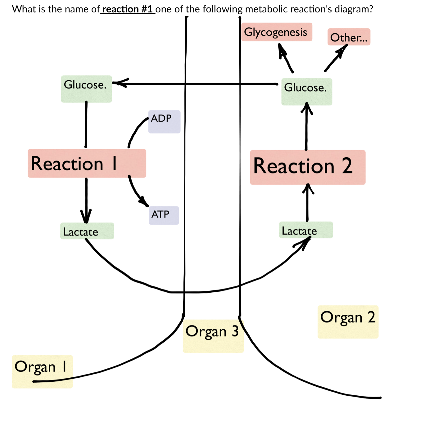 Solved What is the name of reaction \#1 one of the following | Chegg.com