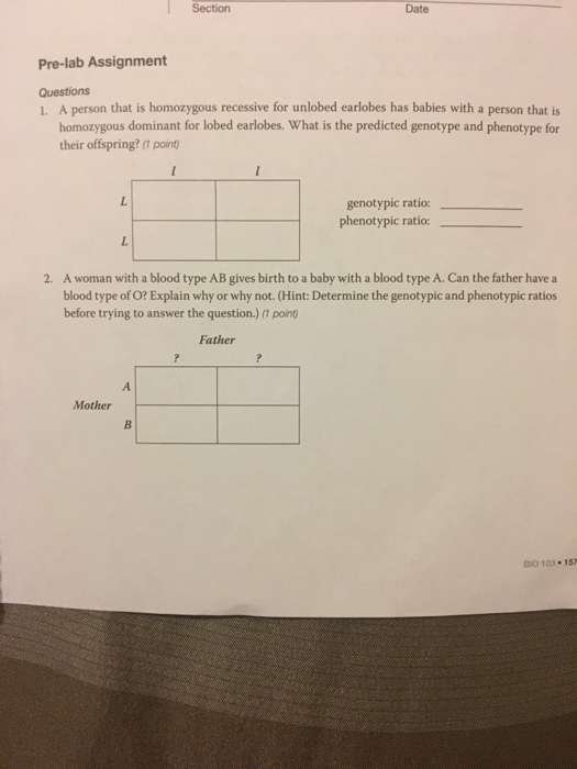 Solved Section Date Pre-lab Assignment Questions 1. A person | Chegg.com