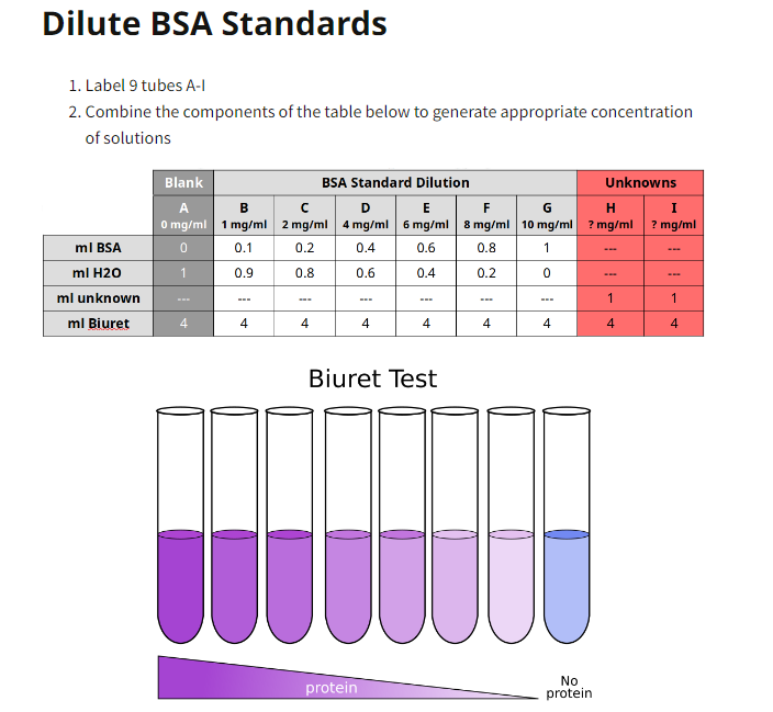 Bovine Serum Albumin (BSA) is a protein that | Chegg.com