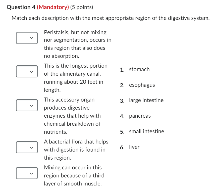 Solved Question 4 (Mandatory) (5 points) Match each | Chegg.com