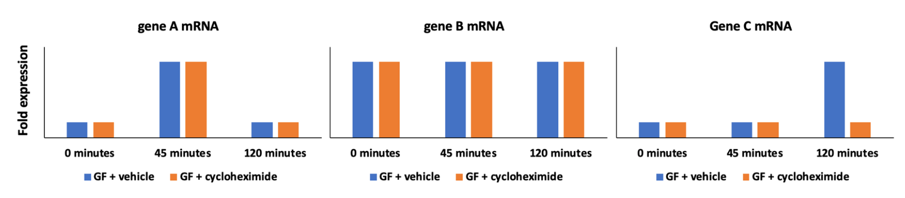 Solved 2) Cycloheximide is a drug that inhibits | Chegg.com