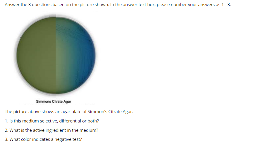 Solved Answer the 3 questions based on the picture shown. In | Chegg.com