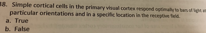 Solved 8. Simple cortical cells in the primary visual cortex | Chegg.com