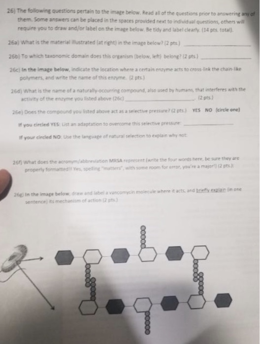 Solved questions pertain to the image below. Read all of the | Chegg.com