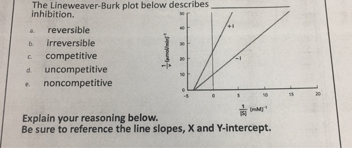 Solved The Lineweaver-Burk plot below describes inhibition. | Chegg.com