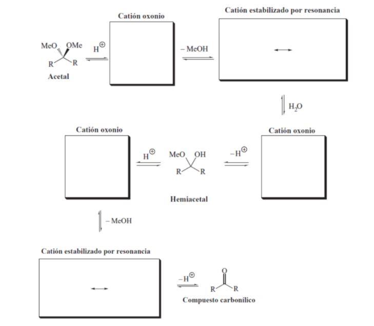 Solved Complete the following reaction of hydrolysis | Chegg.com