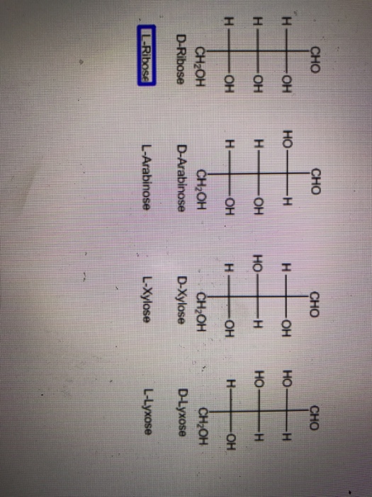 Solved from all the choices below select the aldopentose | Chegg.com