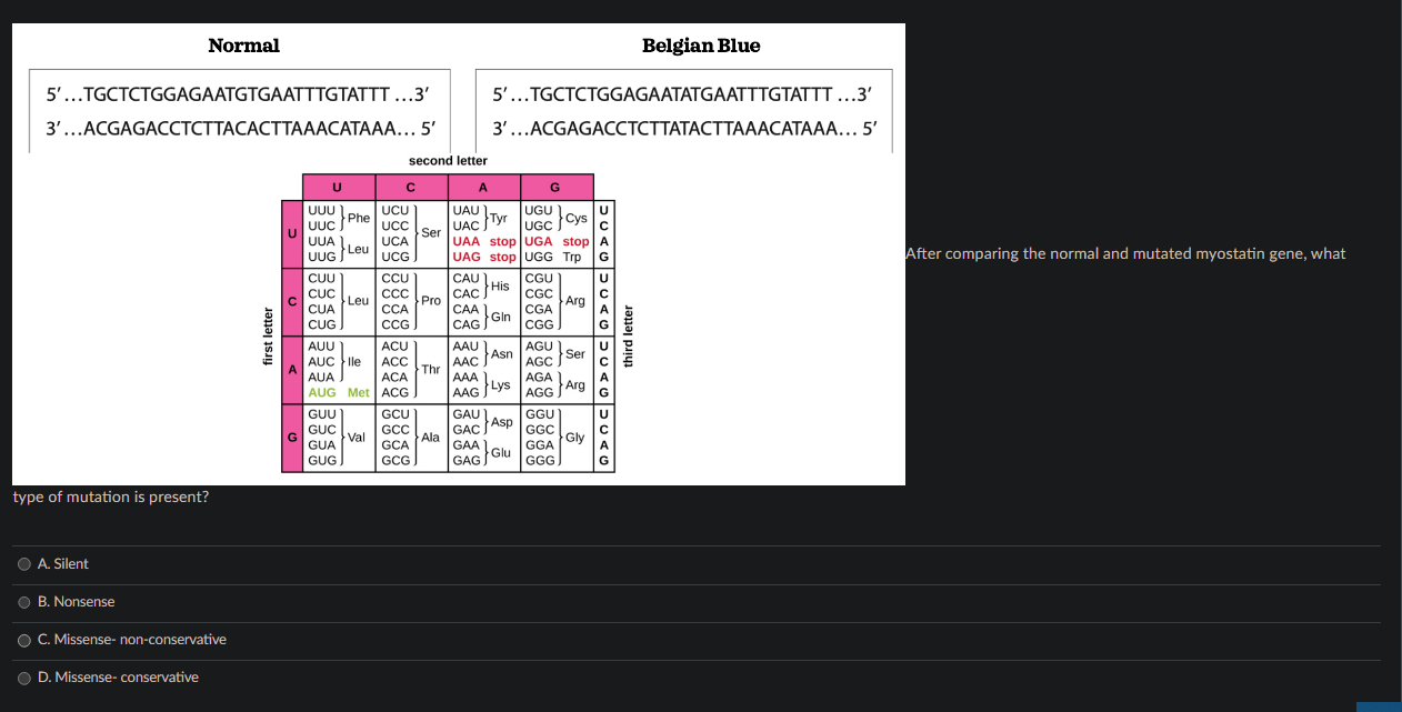 Solved Normal Belgian Blue type of mutation is present? A. | Chegg.com