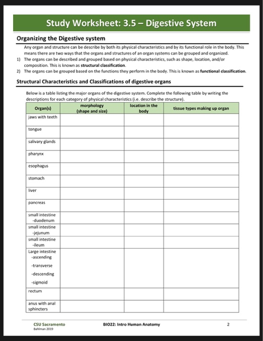 Solved Study Worksheet: 3.5- Digestive System Organizing the | Chegg.com