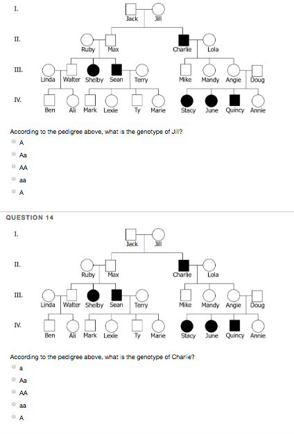 Solved Genetics questions, attempt only if you are certain | Chegg.com