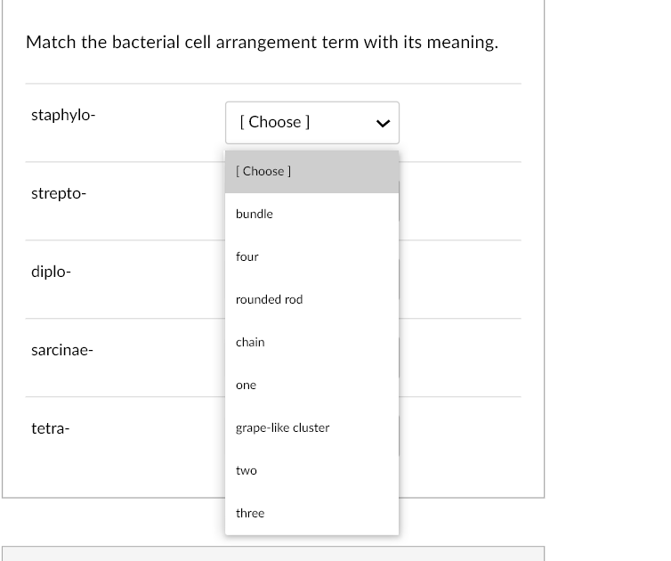 Solved Match the bacterial cell arrangement term with its | Chegg.com
