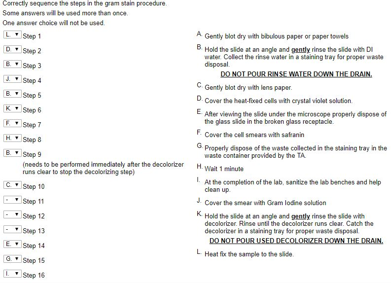 Solved Correctly sequence the steps in the gram stain | Chegg.com Solved Correctly sequence the steps in the gram stain | Chegg.com