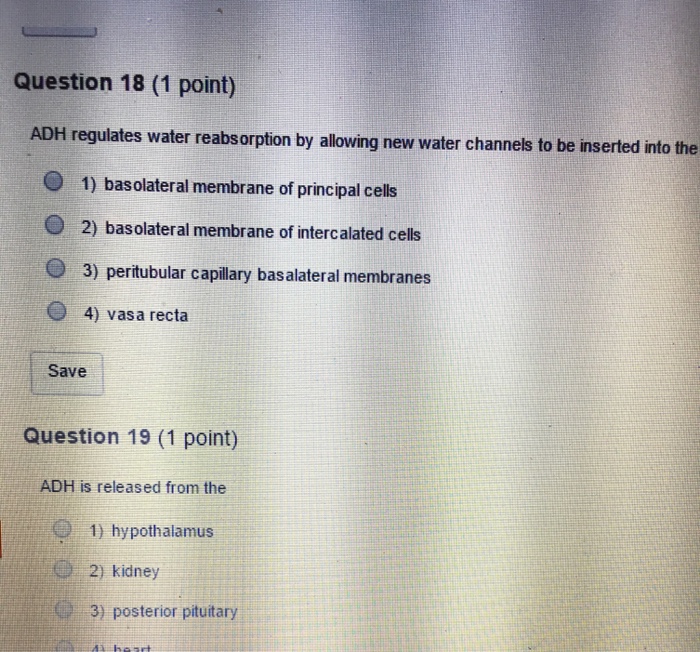 Solved ADH regulates water reabsorption by allowing new | Chegg.com